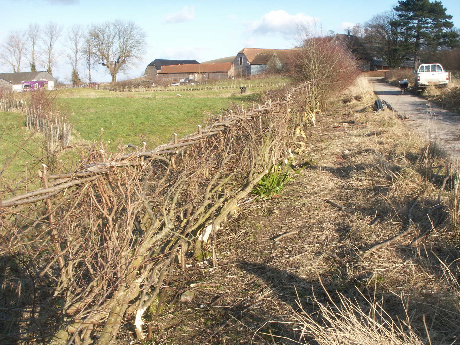 Farm Step Opportunities - Earth Trust