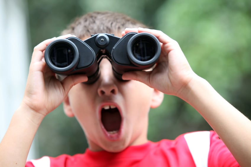 Free summer activities for kids to connect with nature - Earth Trust