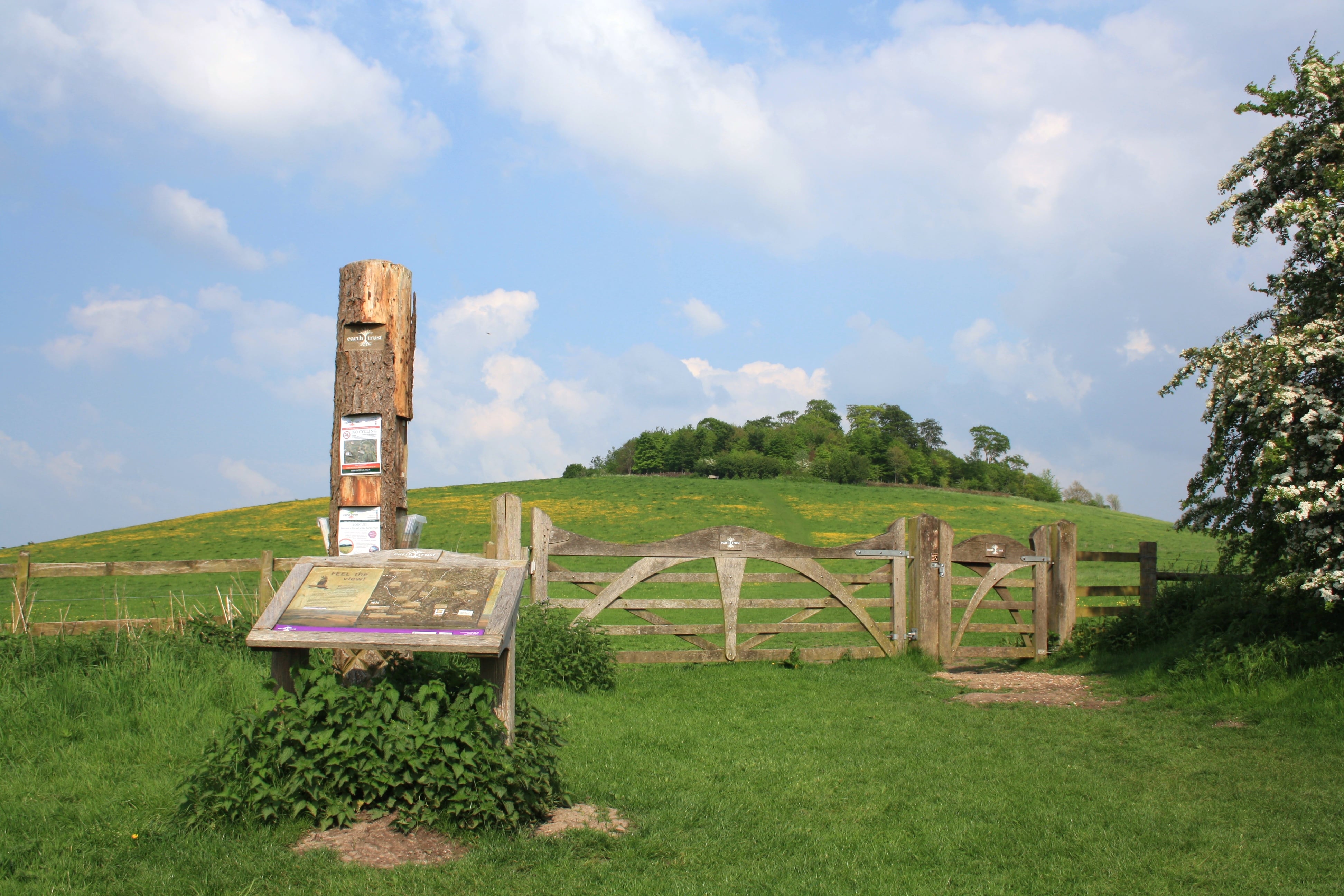 Visitor Research - Earth Trust