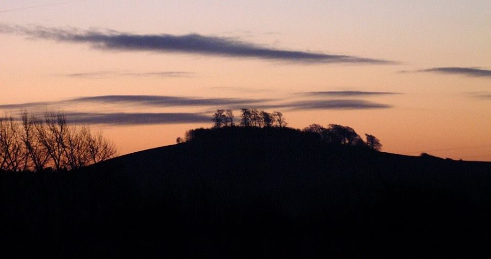 Nurturing bat-tastic spaces for nocturnal wildlife - Earth Trust