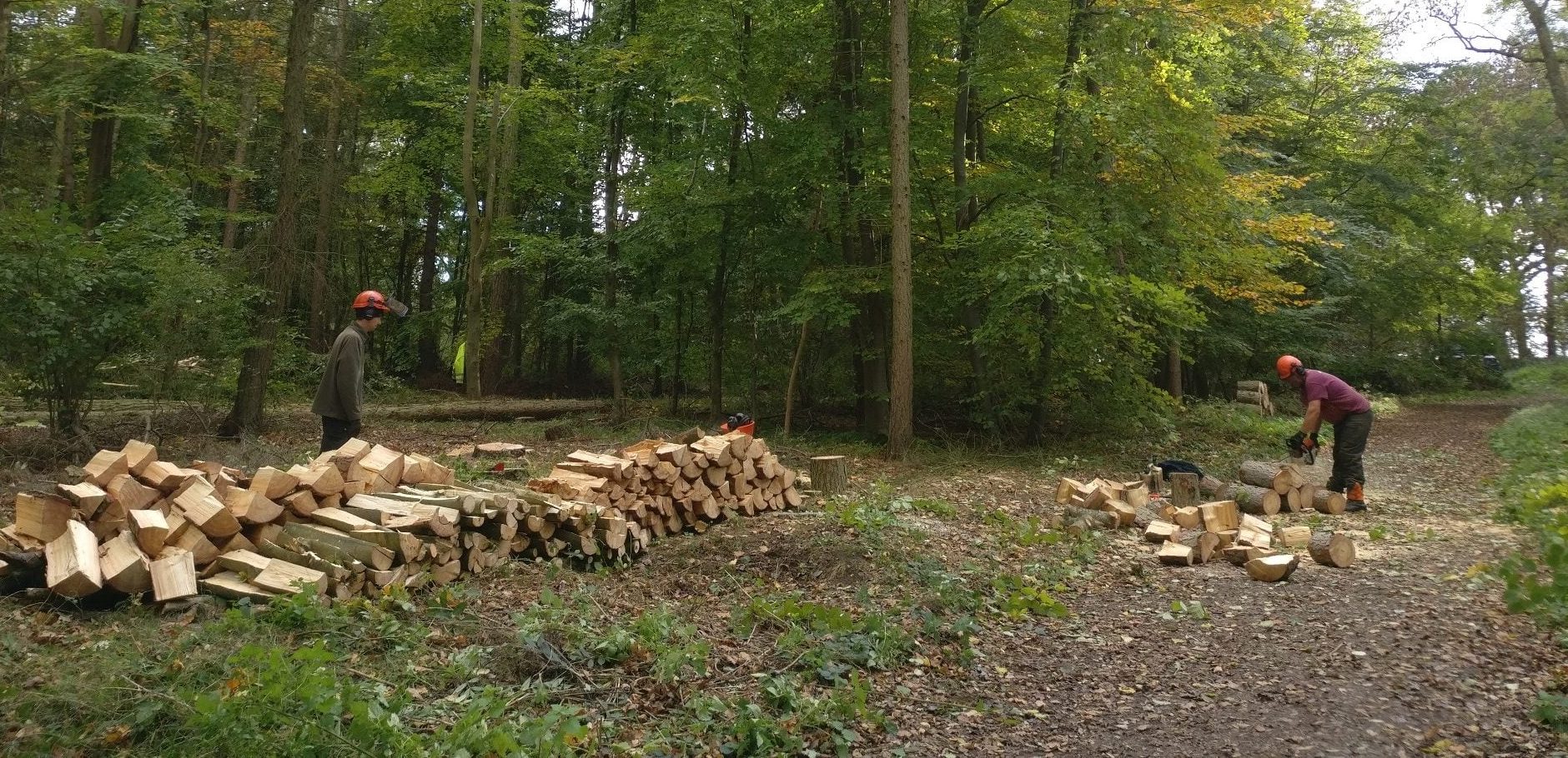 Volunteers keeping our woodlands wonderful - Earth Trust