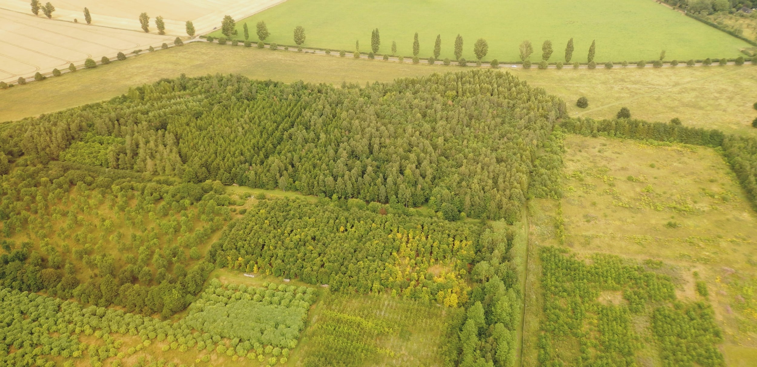 Woodland Collections Project - Earth Trust