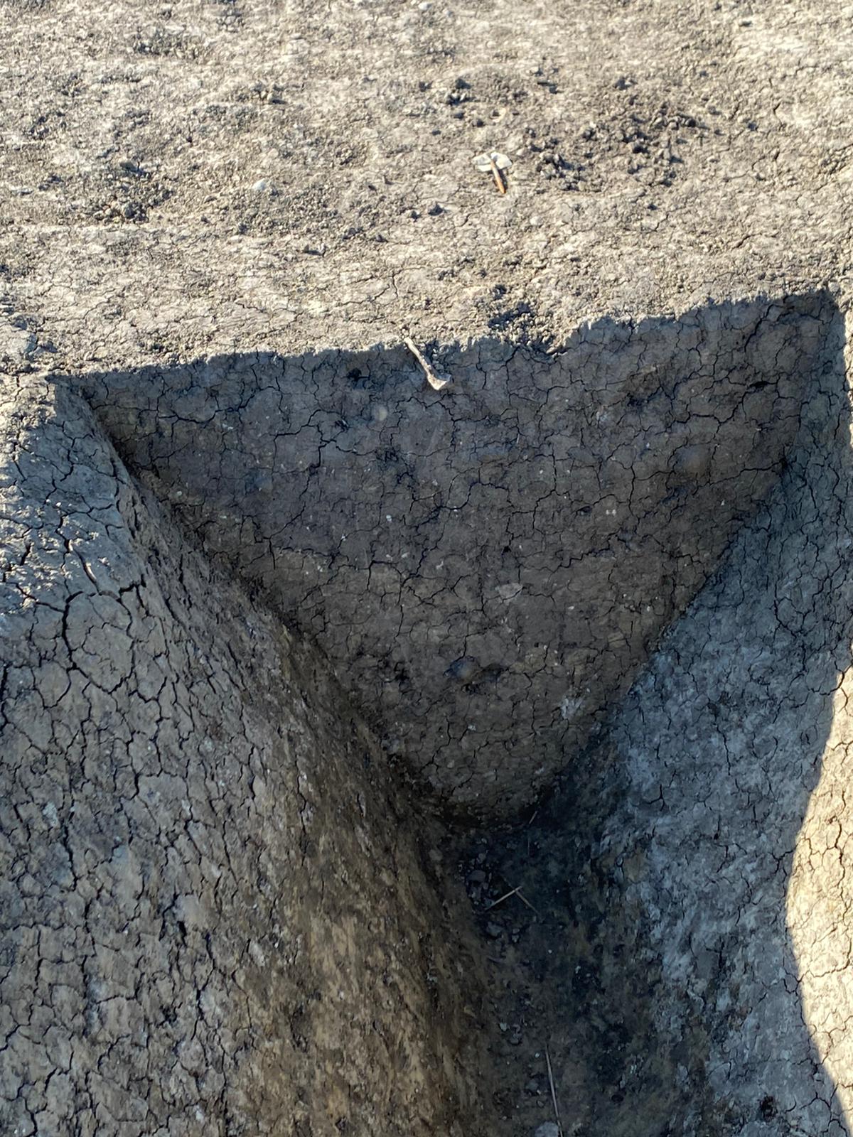 Dig reveals 2,000 year history of Earth Trust Centre - Earth Trust