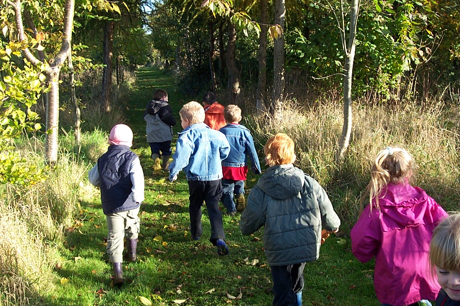 Little Acorns - Earth Trust