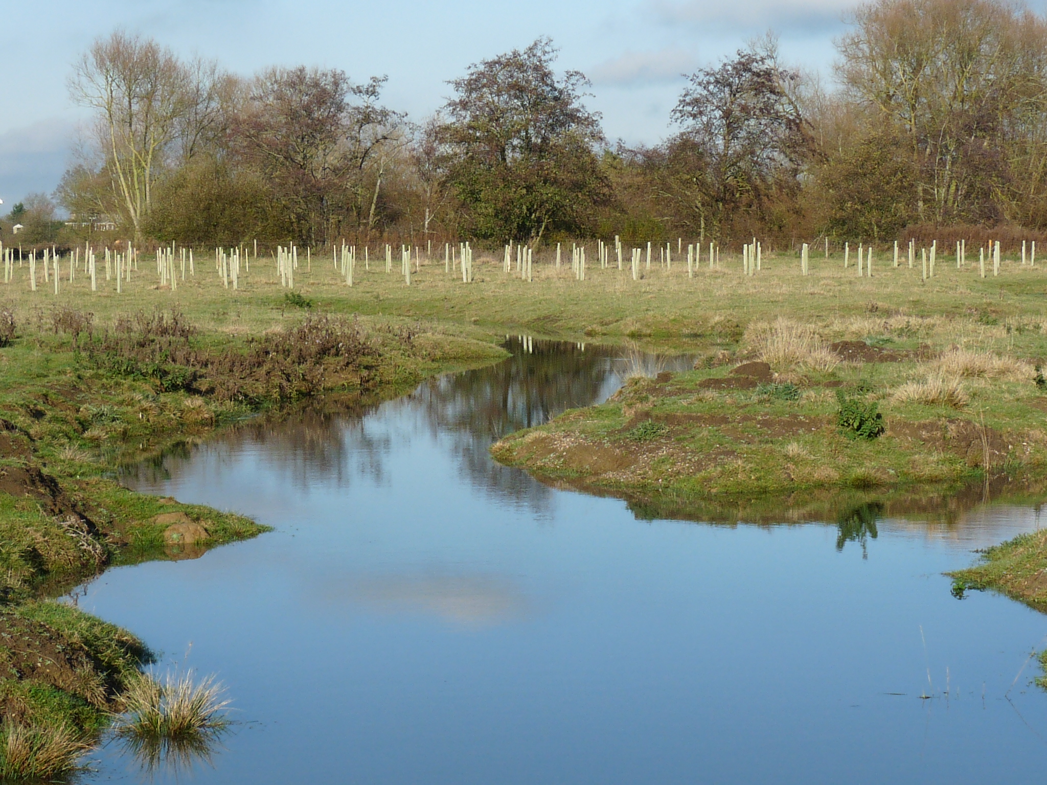 Rivers Day - Earth Trust