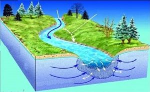 Ecohydrology – what is it? And why should I care? - Earth Trust