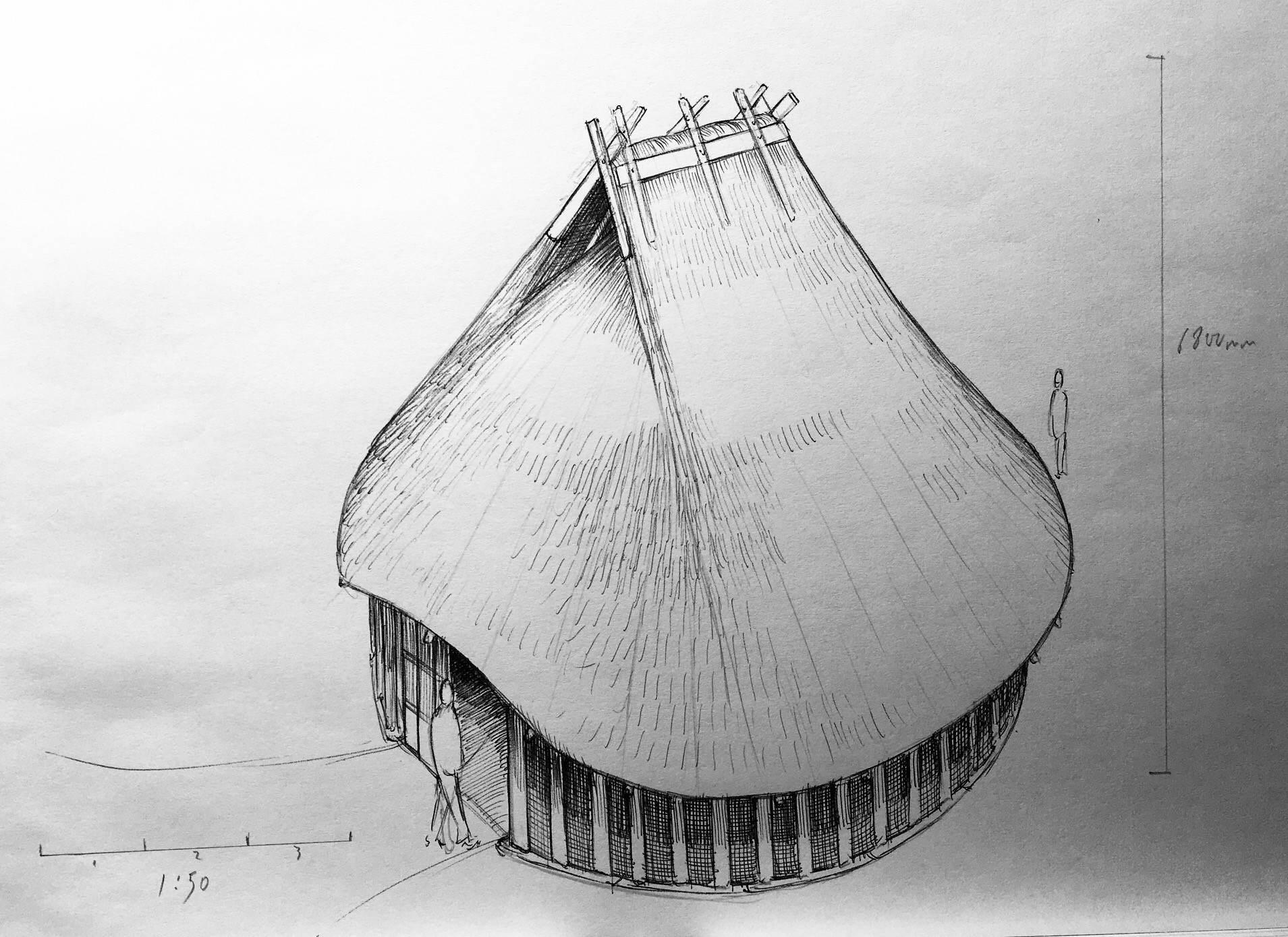 Imagining an Iron Age view of the Clumps - Earth Trust