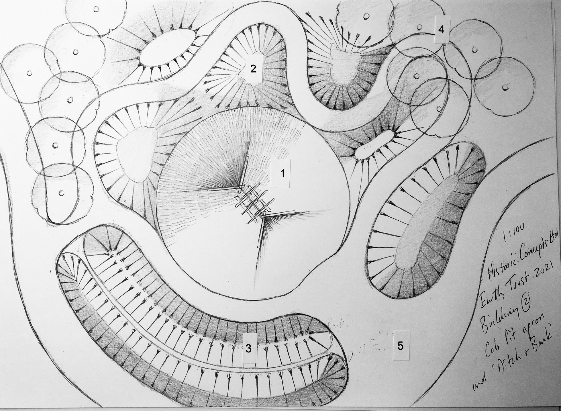 Imagining an Iron Age view of the Clumps - Earth Trust