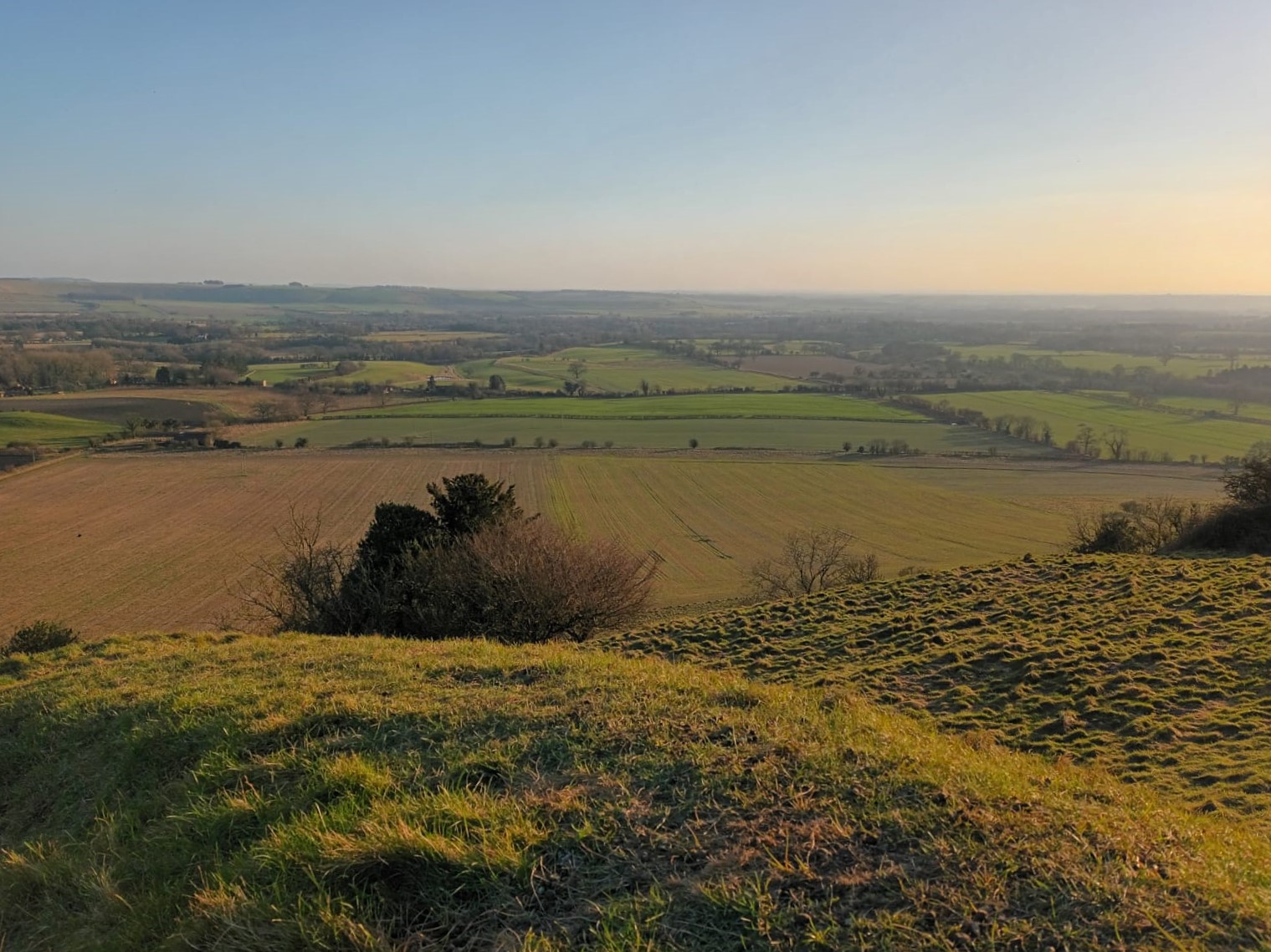 New land acquisition for Earth Trust - Earth Trust