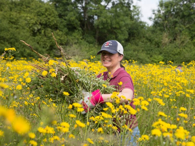 Earth Trust Farm - a journey to net zero - Earth Trust