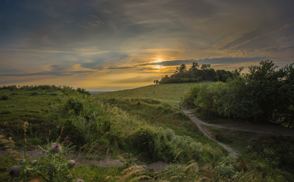 People and nature thriving together - Earth Trust