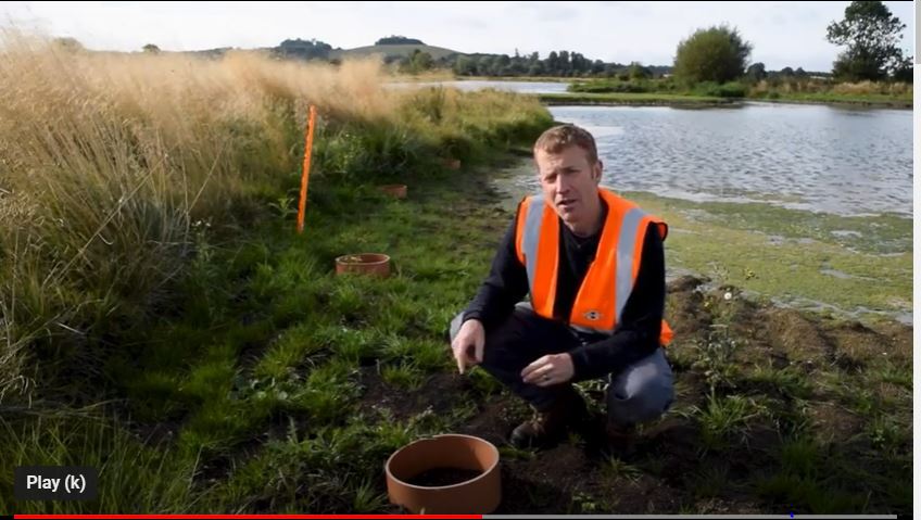 Wetlands Soil Carbon Research - Earth Trust