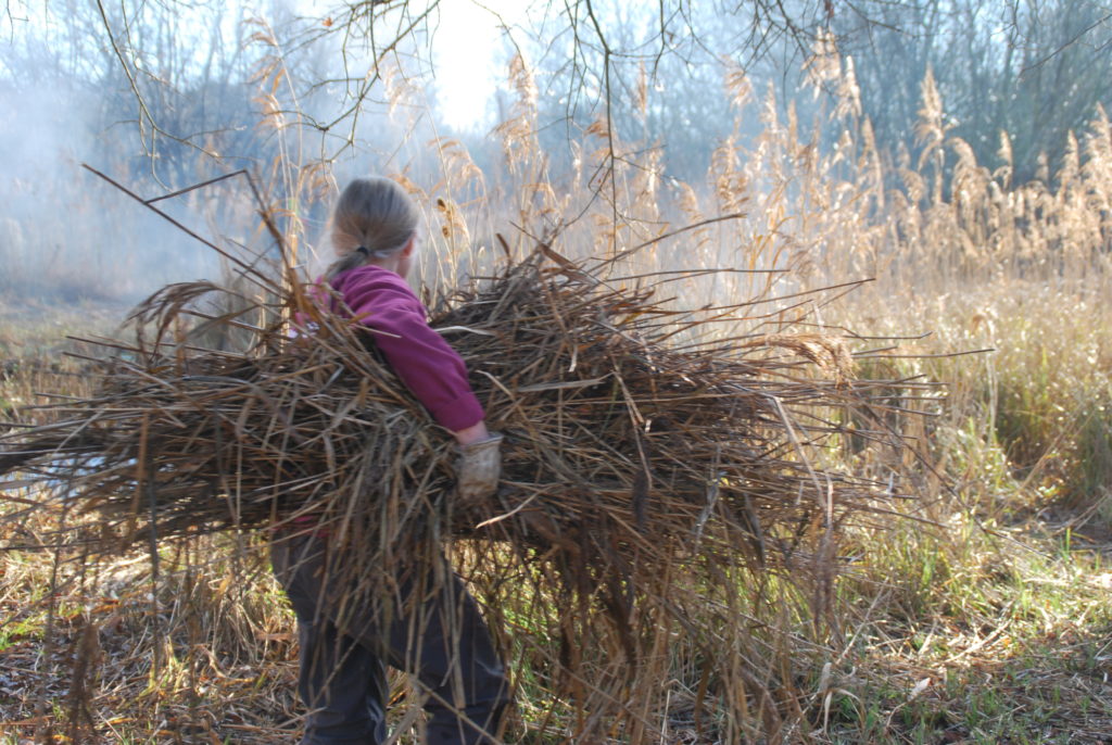 Volunteer benefits - Earth Trust