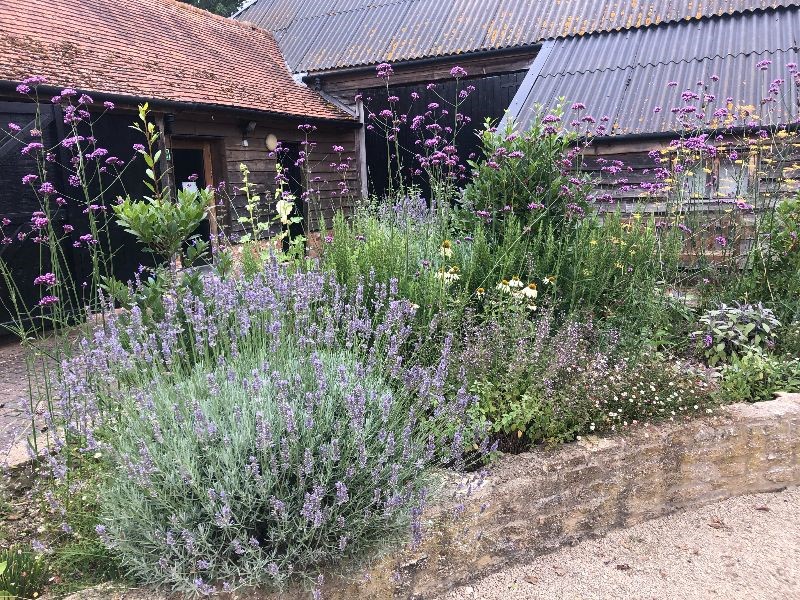 Satisfying that sense of purpose - Earth Trust