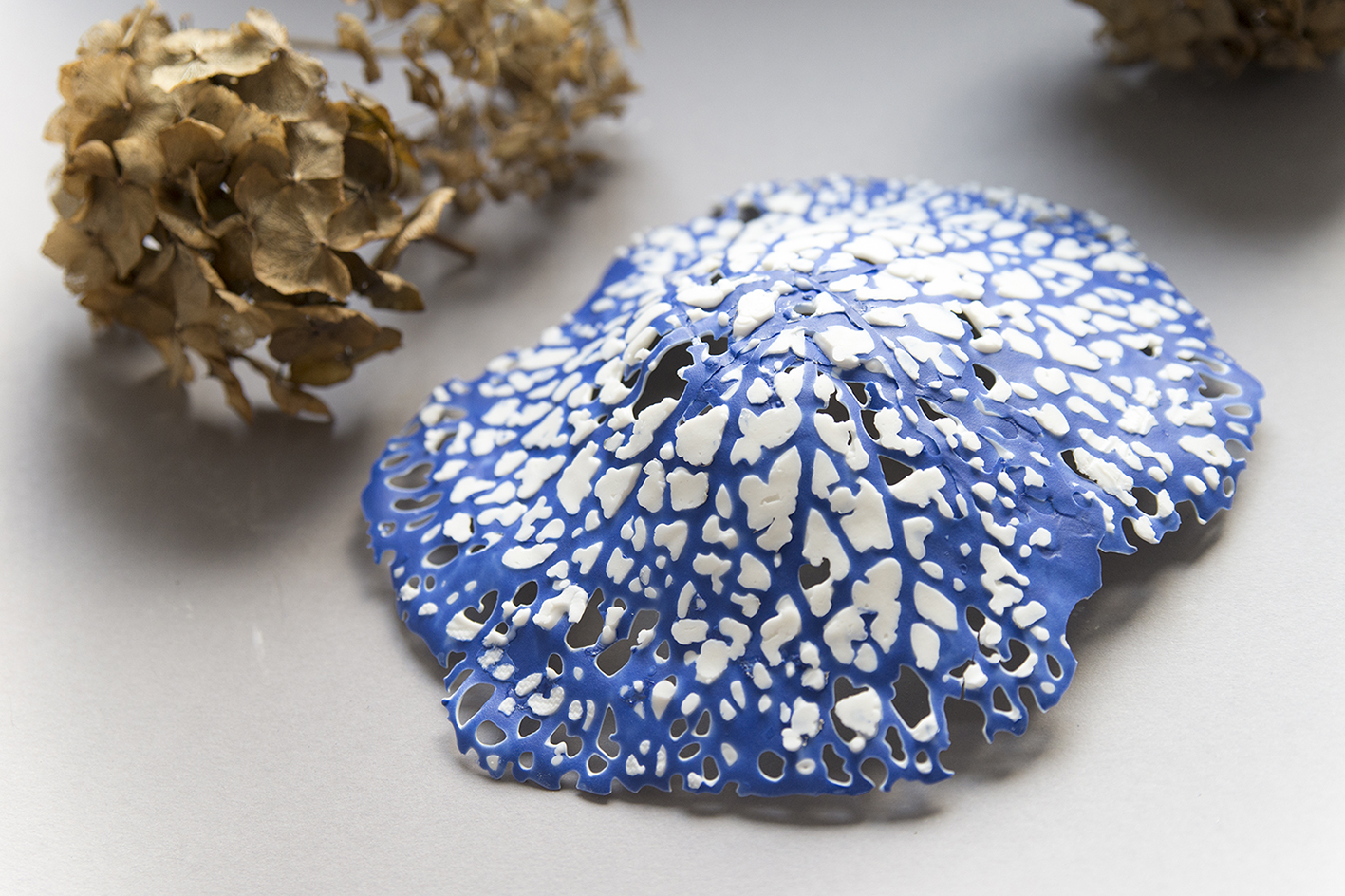 Nature inspiring artists - Earth Trust