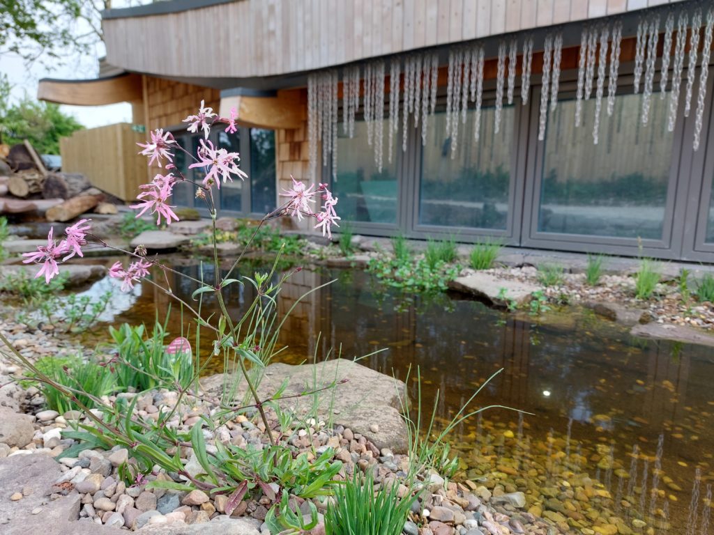 Building Nature In - Earth Trust