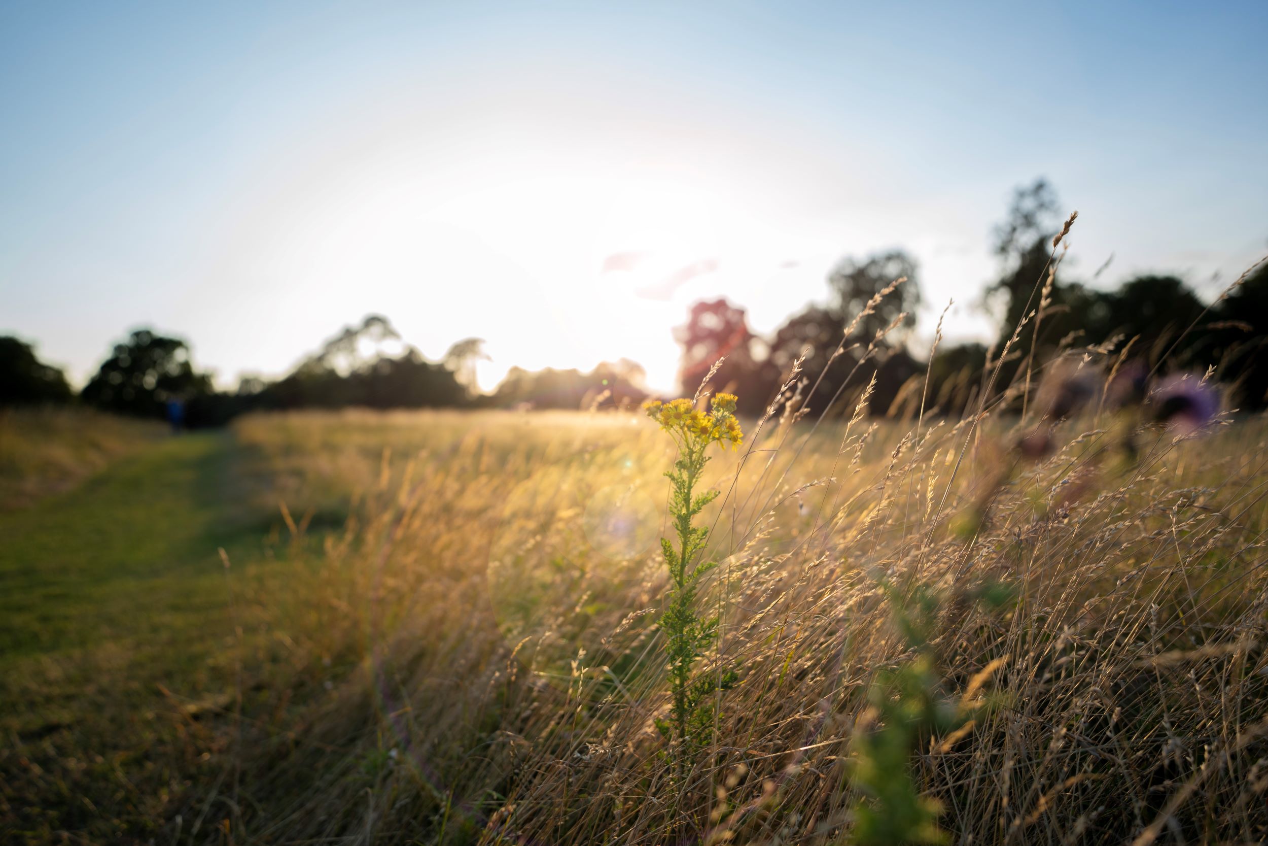 Nature needs you - Earth Trust