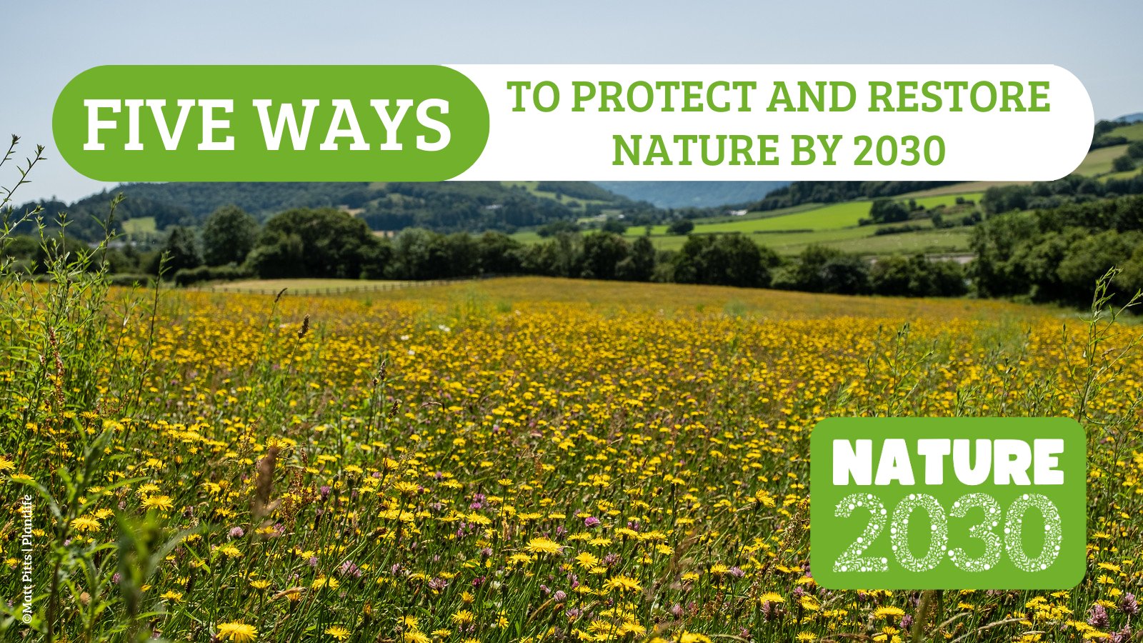 If not now, then when for nature? - Earth Trust