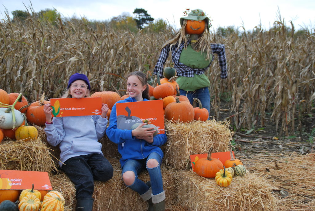 Thank the Earth: Our Pumpkin Patch is back - Earth Trust