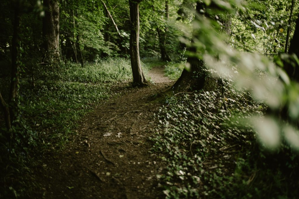 Deep concern at plans to dilute net zero policies - Earth Trust