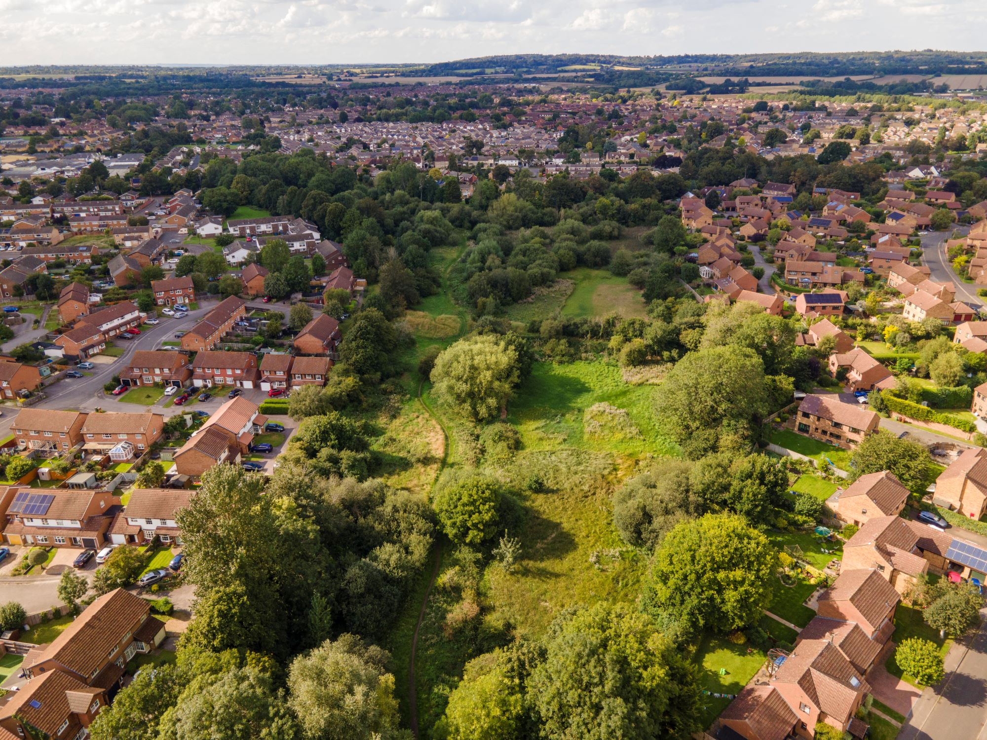 Catalysing nature recovery for people and nature - Earth Trust