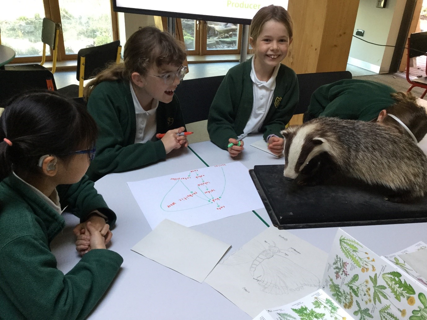 Working scientifically to boost playground biodiversity - Earth Trust