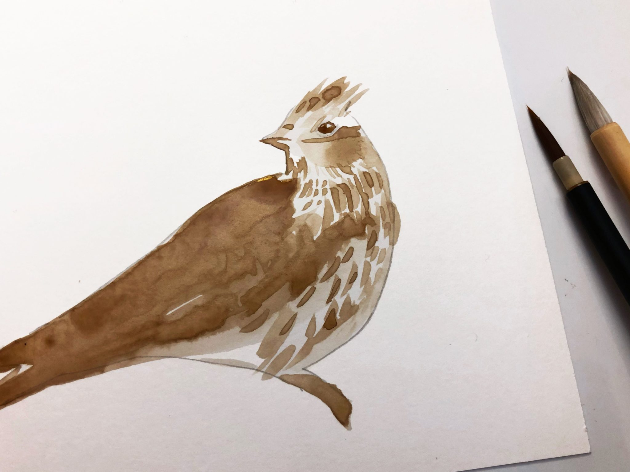 Local artist Nicola Fielding joins Artist in Residency programme ...