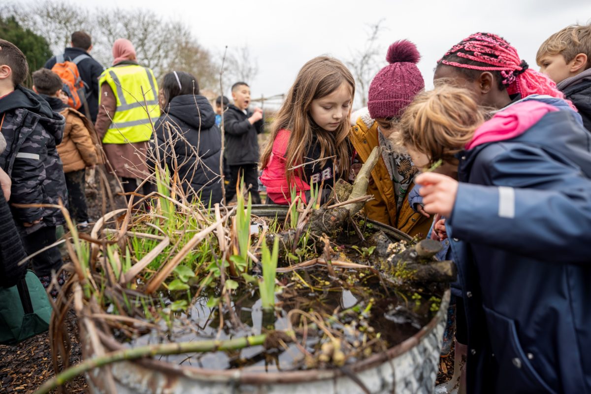 Cultivating a greener future - Earth Trust