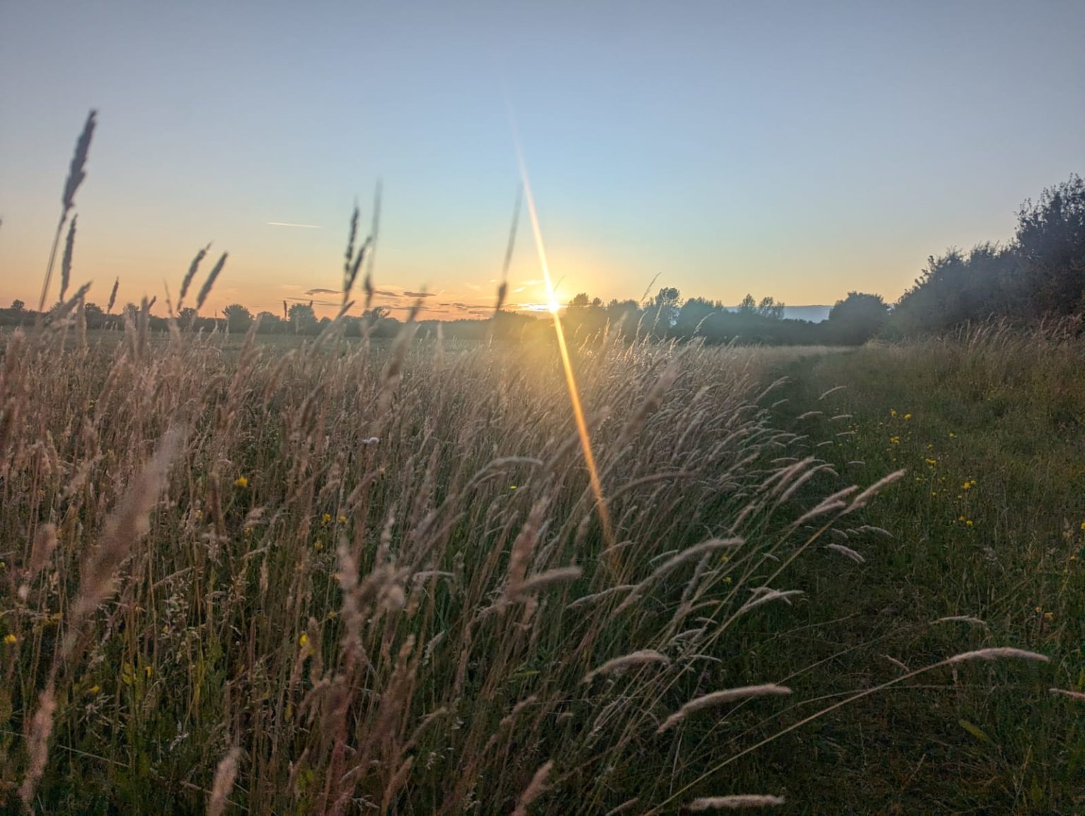Earth Trust begins new chapter in nature-friendly farming - Earth Trust