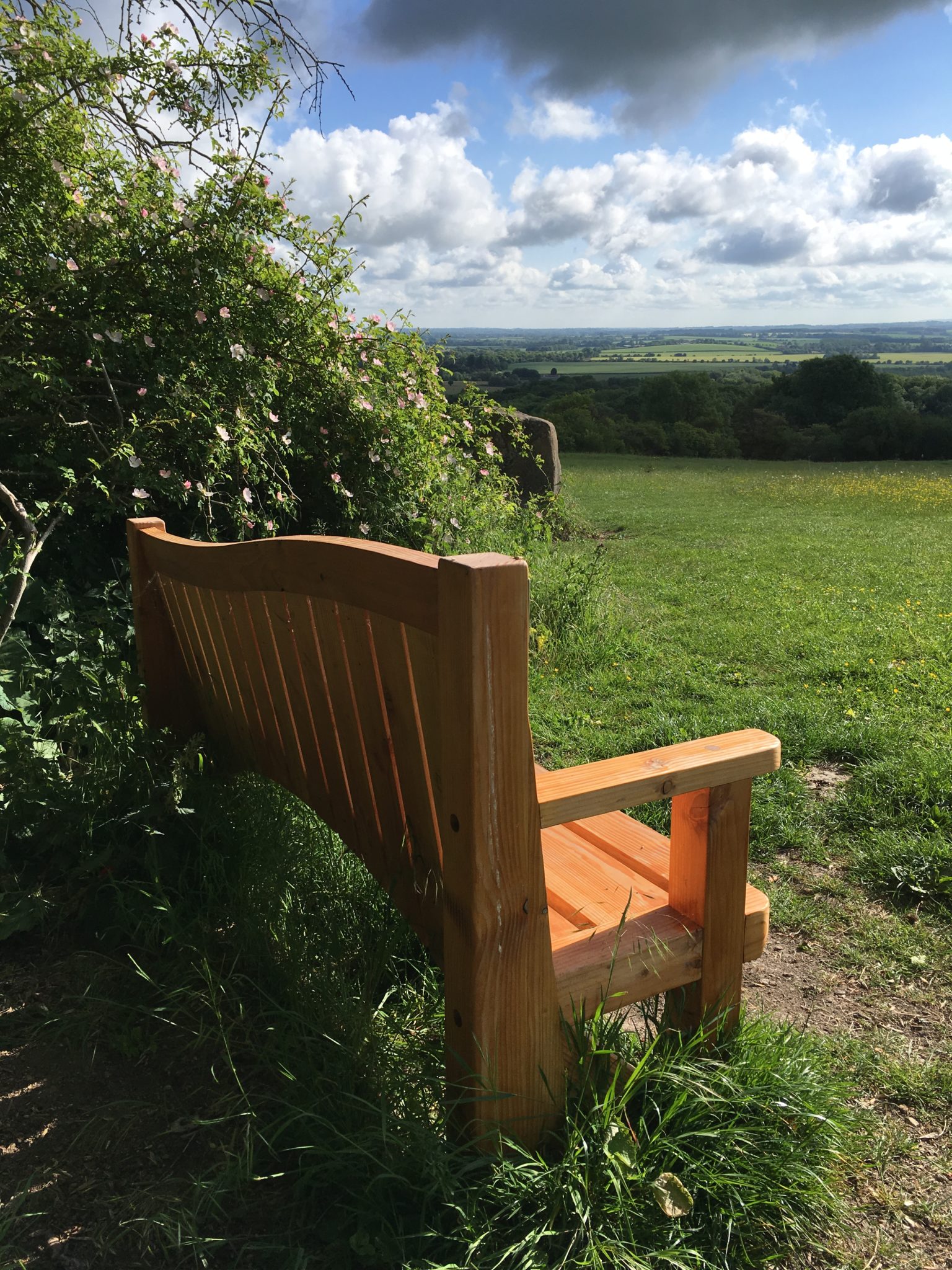 Dedicate a bench - Earth Trust