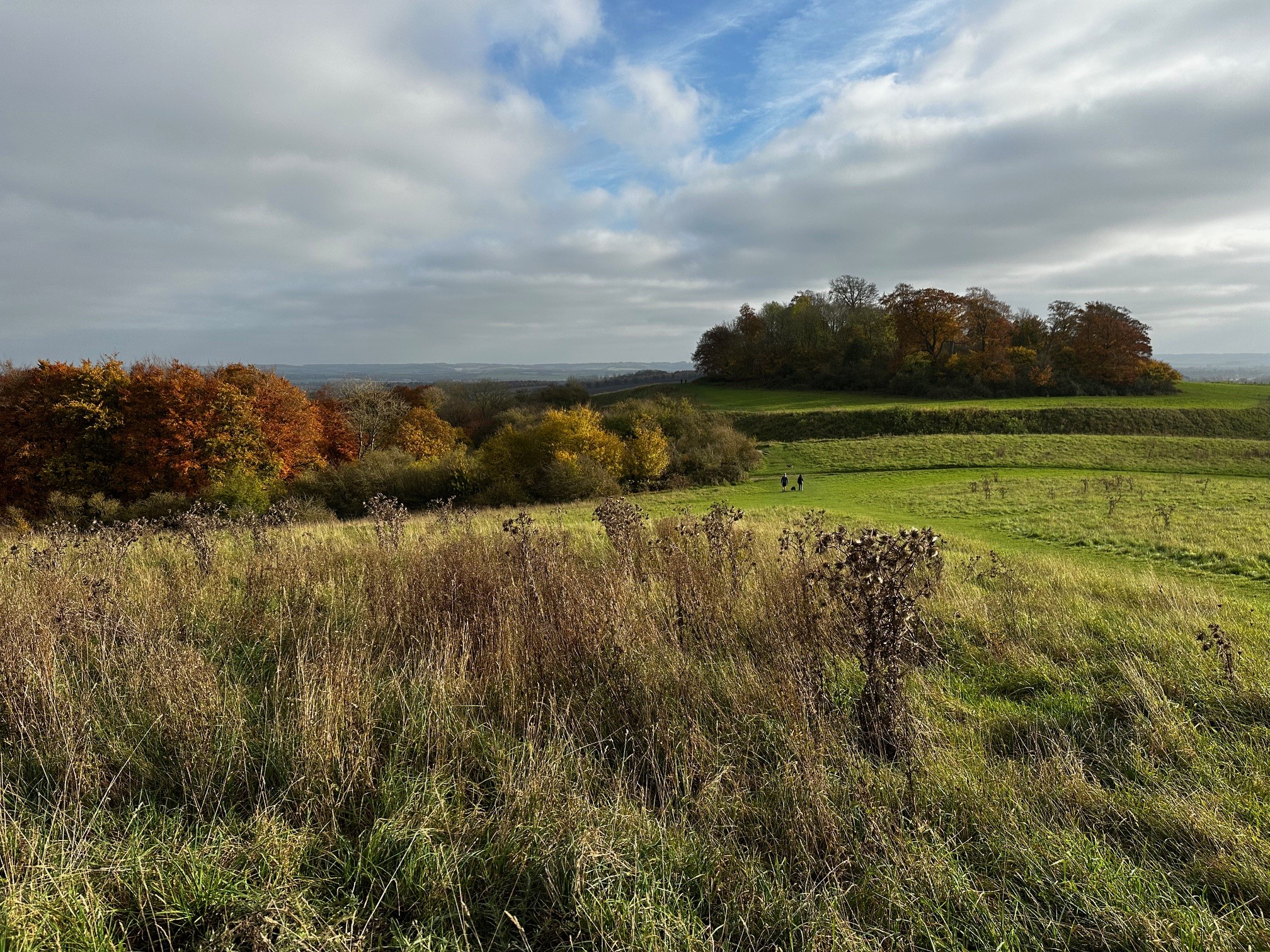 Wittenham Clumps - Earth Trust