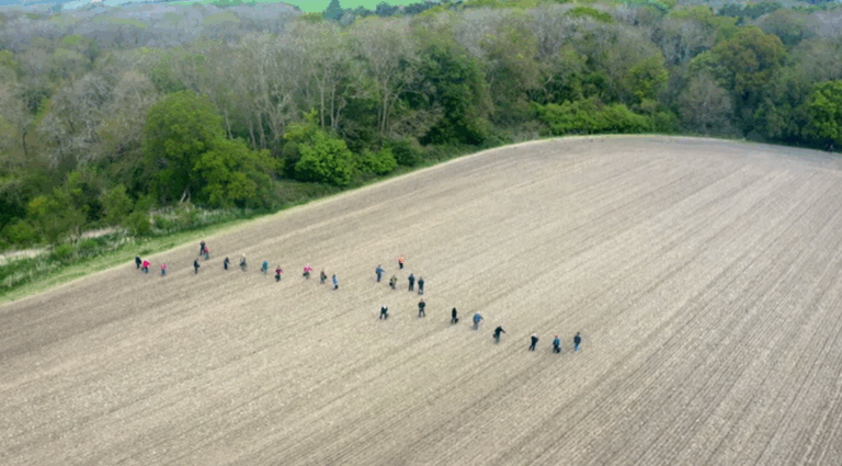 Volunteers Sow the Seeds of Nature Recovery at Wittenham Clumps - Earth ...