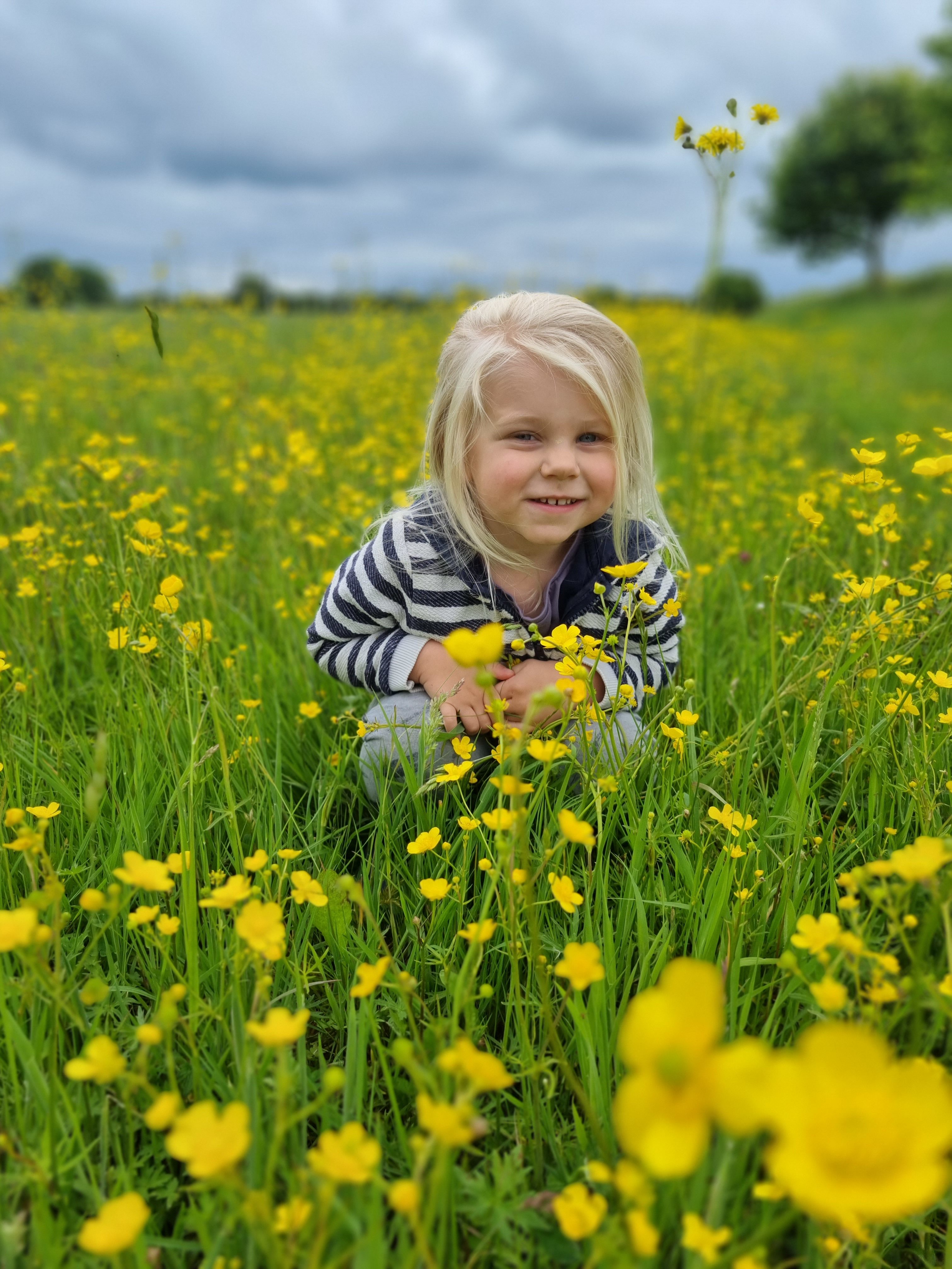 Thank You - Earth Trust